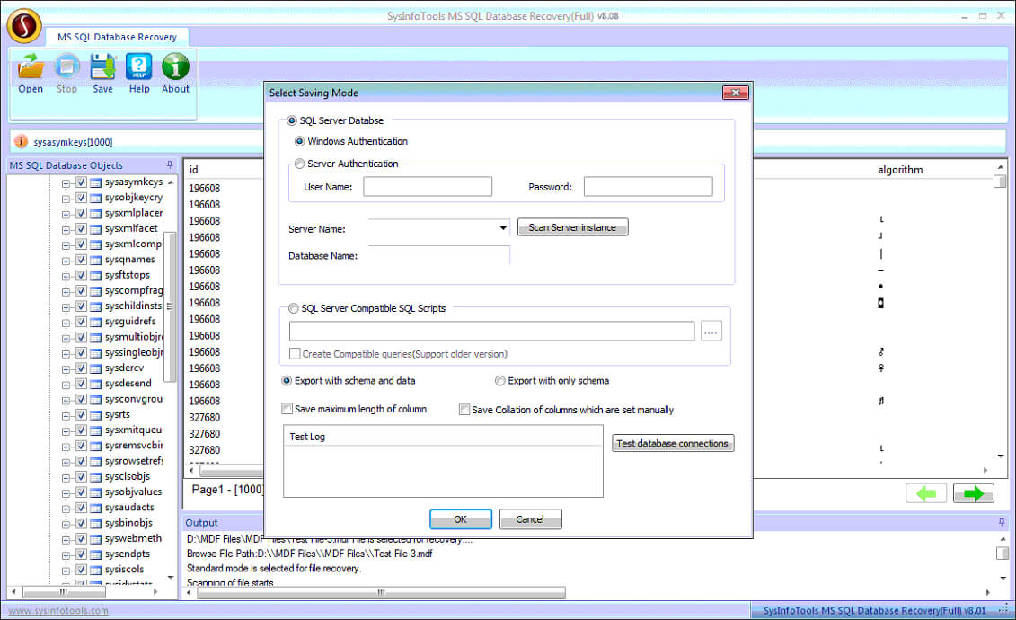 Case Study - Fix SQL Server Runtime Error & Big Data Size of MDB Files